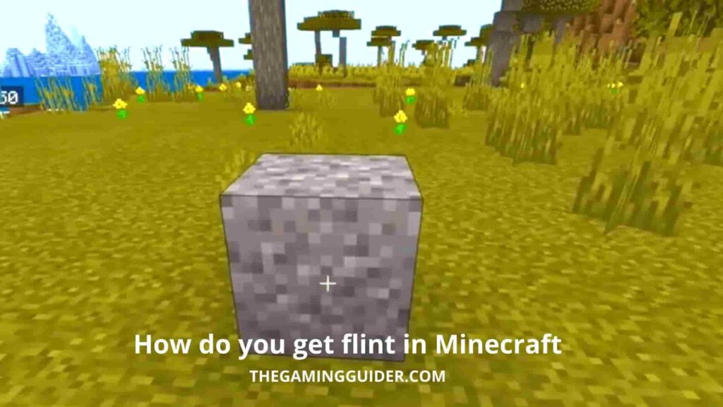 How do you get Flint in Minecraft